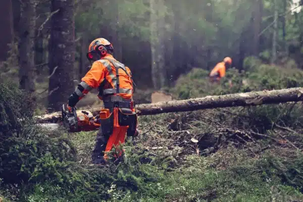 Husqvarna moottorisaha 564 XP® G Fuel Injection - Motocafe